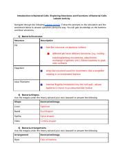 Exploring Bacterial Cell Structures And Functions Course Hero
