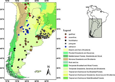 Distribution Of The Putative Subspecies Of L Geoffroyi Over The Biomes Download Scientific