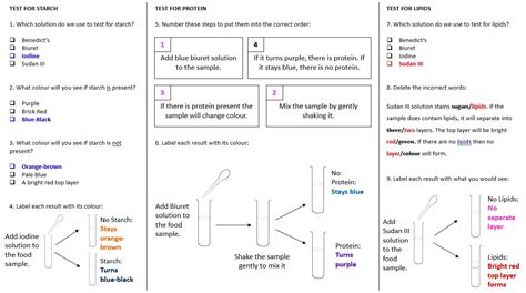 Food Tests Practical Revision Gcse Biology Teaching Resources