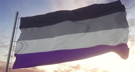 What Does Asexual Mean