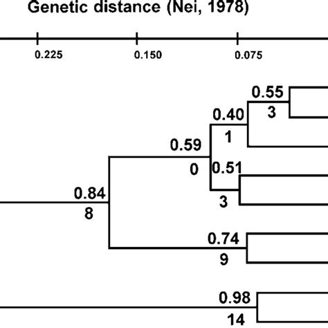 Dendrogram Upgma Based On Neis Unbiased Distance Nei 1978 Of Nine