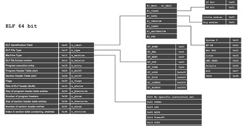 introduction to the elf file format part iii the section headers