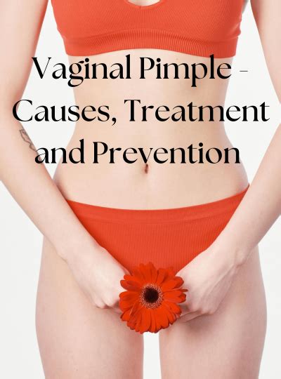 Vaginal Pimple Causes Treatment And Prevention