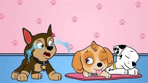 Pin On Paw Patrol Skye