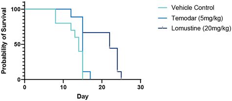 U87 MG Orthotopic Model TD2 Precision Oncology