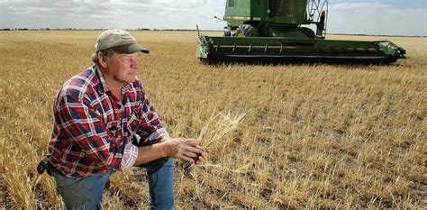 Why Would Australia Want To Grow Genetically Modified Wheat