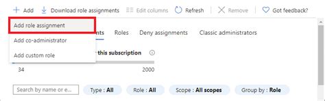 assign a user as an administrator of an azure subscription with