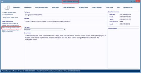 Editing A Data File Link Record