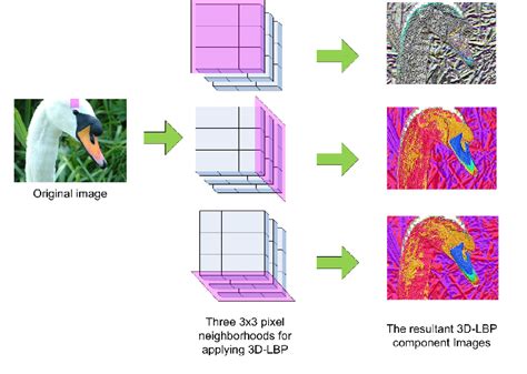Figure 2 From Object And Scene Image Classification Using Unconventional Color Descriptors