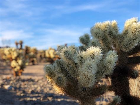 Realm Retrieval Augmented Language Model Pre Training Towards Ai