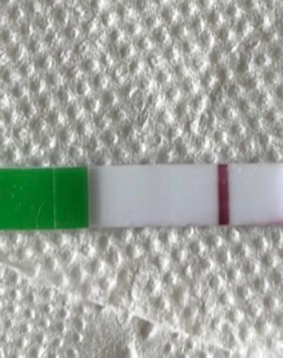 Is There A Faint Line Rfsu Early Swedish Brand 10 Dpo Rtfablineporn