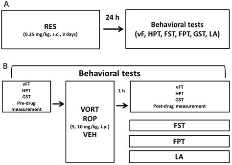 Software Testing Policy Template