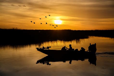 Future Proofing Natures Curveballs All About Adaptive Management