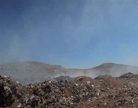 Dañan Incendios Forestales 192 Hectáreas En Zacatecas Ntr Zacatecas