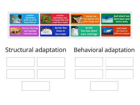 Types Of Adaptation Structural And Behavioral Group Sort