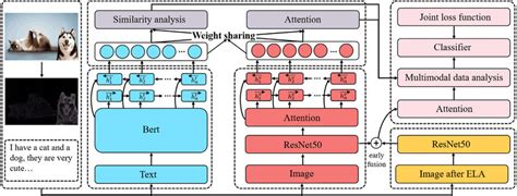 The Architecture Of Mcnn The Network In Blue Is The Text Feature
