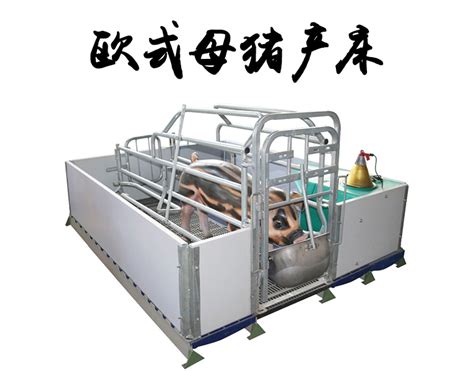 母猪产床 母猪产床价格 新型母猪产床 山东佰牧兴畜牧机械有限公司