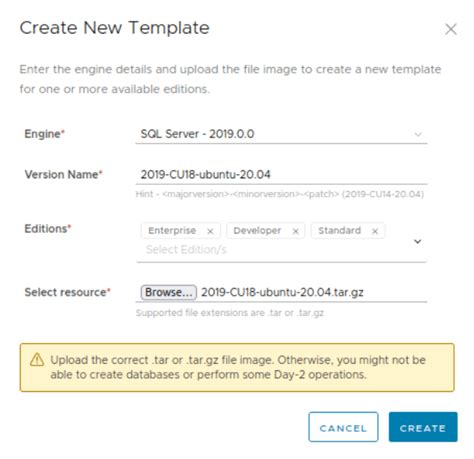 vmware data services manager v1 3 2 sql server database template