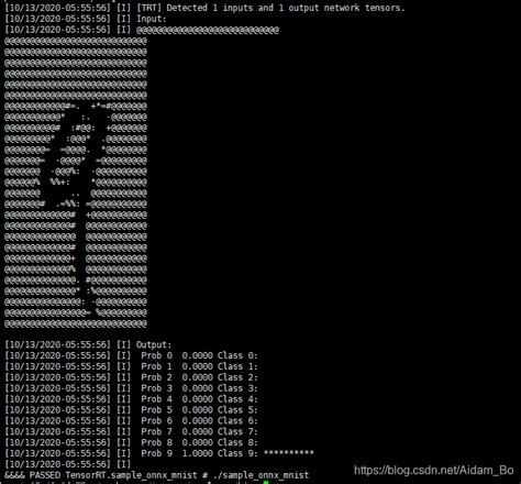 Tensorrt之tensorrtx编译：遇到的错误提示read Files In Dir Failed Csdn博客