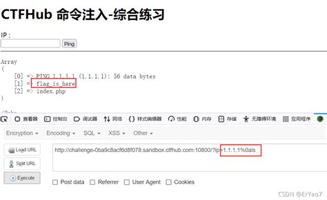 Ctfhub技能树 Web Rce 详解 Csdn博客