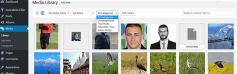 Looking For Help In Open Source Wordpress Plugin Development