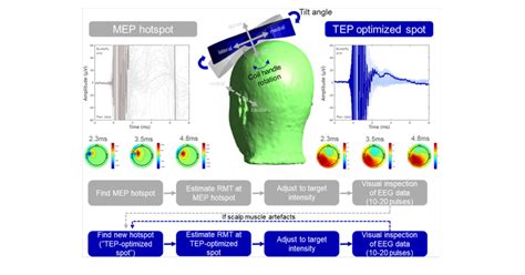 Transcranial Magnetic Stimulation Of Primary Motor Cortex Elicits An Immediate Transcranial