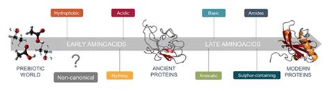 Evolution Could Predate Life Itself Protein Discovery Suggests