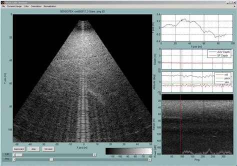 FOCUS Sonar Image Investigation Tool Example Data Are A Sonar Image Download Scientific