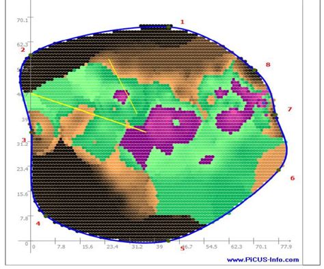 Tree Decay Detection Tools Anthonys Tree World
