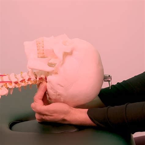 Cranio Sacral Therapy Niel Asher Education