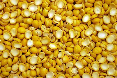 20 Different Types Of Beans Photos Farazcenter Blog