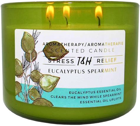 Eucalyptus Spearmint Scented Candle 3 Wick Aromatherapy Soy Candle For