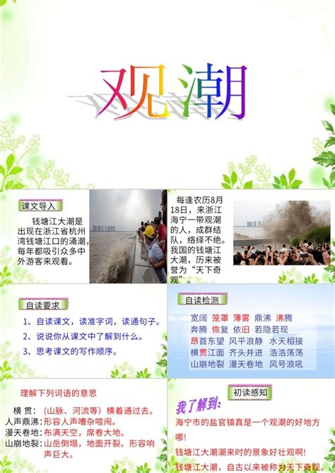 简约风教育教学观潮品词析句PPT模板29页 格调办公