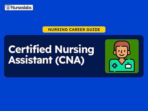 Phd In Nursing Career Guide Nurseslabs