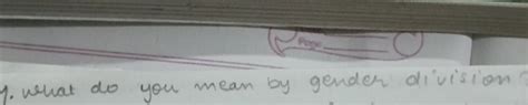 1 What Do You Mean By Gender Division Filo