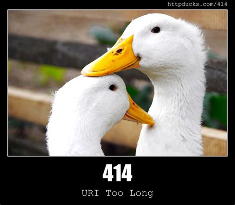 414 Uri Too Long Status Code And Ducks
