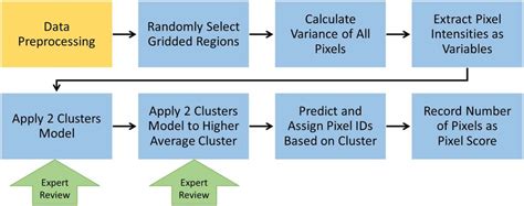 flowchart of automatic model of sm counting from text steps are