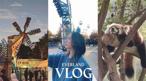 Vlog 동기들과 에버랜드 브이로그🫧🎡🎢 아이폰14프로 영상미 보고가세요 Youtube