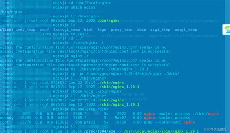 nginx热升级到1 23 4过程指导手册 cve 2022 41742 csdn博客