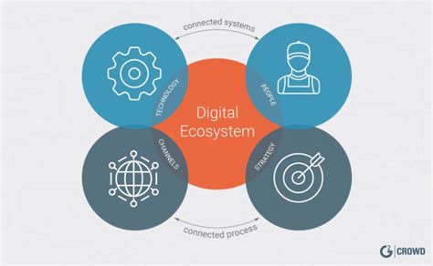 Digital Ecosystem Northern Lights Solutions