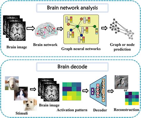 Frontiers Generative Ai For Brain Image Computing And Brain Network