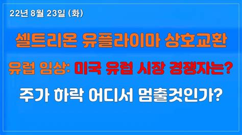 셀트리온 유플라이마 미국 유럽 시장 경쟁자는 주가 하락 어디서 멈추나 Youtube