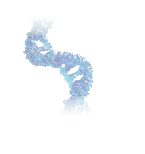 Subscriber Portal Alphanet Canada