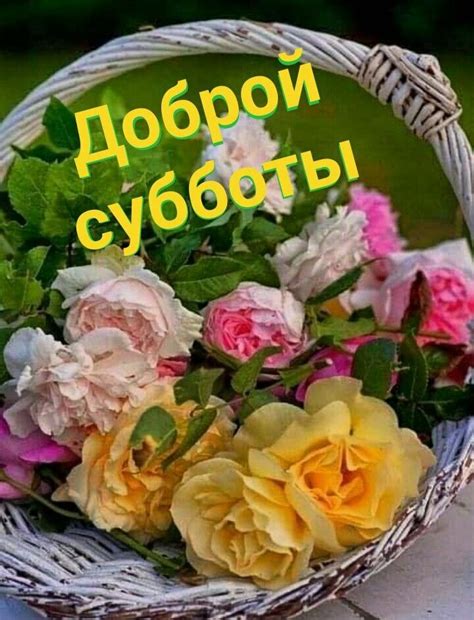 Pin by Елена Сизякина on Дни недели Vegetables Cabbage Food