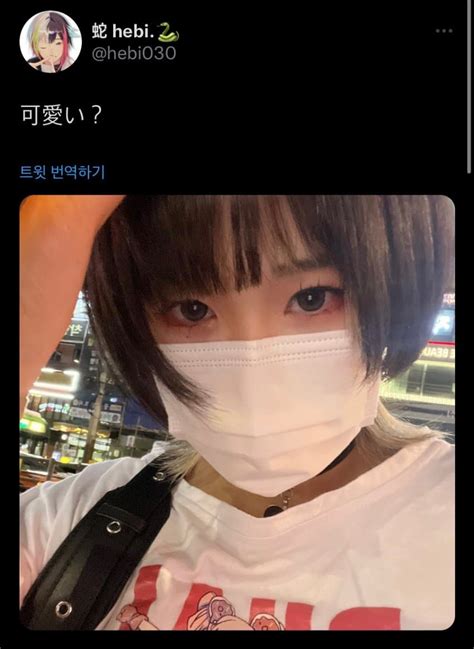 버튜버 마스크짤 비교 스트리머 갤러리