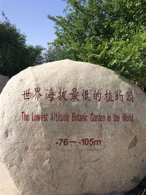 2023沙漠植物风情园游玩攻略 非常适合游览观光学习世界 去哪儿攻略