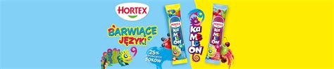 Jak Zrobić Kimchi Przepis Na Kimchi Po Polsku Hortex