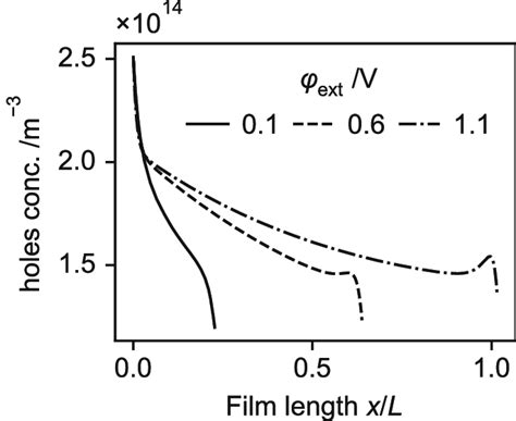 Holes Concentration During Dynamic Polarization For Different