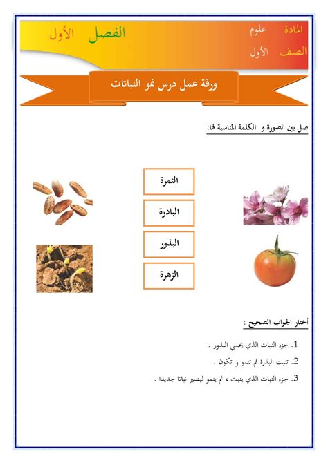 أوراق عمل علوم أول ابتدائي ف1 بداية