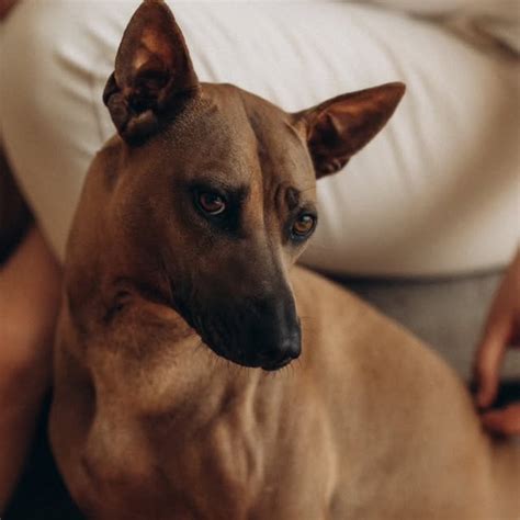 Natalja Natalja Romanenko • Threads Say More